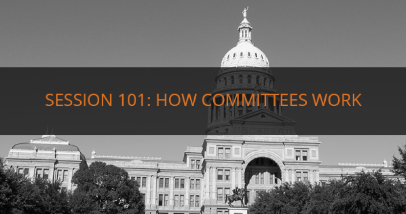 Session 101: How Committees Work | Progress Texas